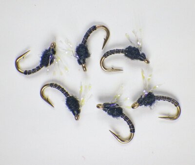 Don King UV Midge Nymphs Black - Premium Trout Fly Fishing Flies ...