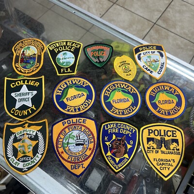 Florida Tallahassee Collier Clay Lake County Punta Gorda Police Patch ...