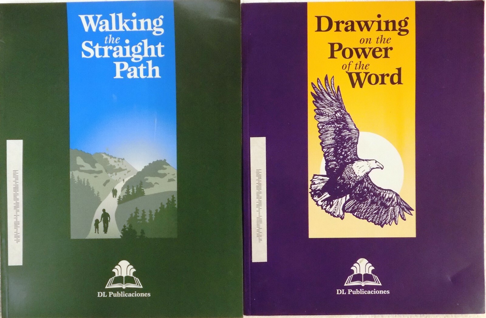 Set of 2 Books Walking The Straight Path and Drawing on the Power of ...