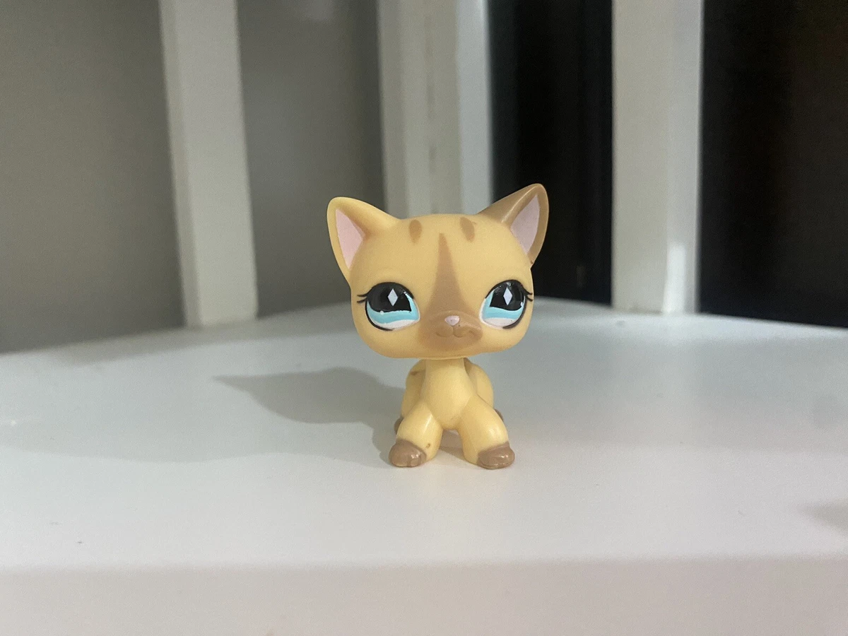 Littlest Pet Shop Cat Ebay