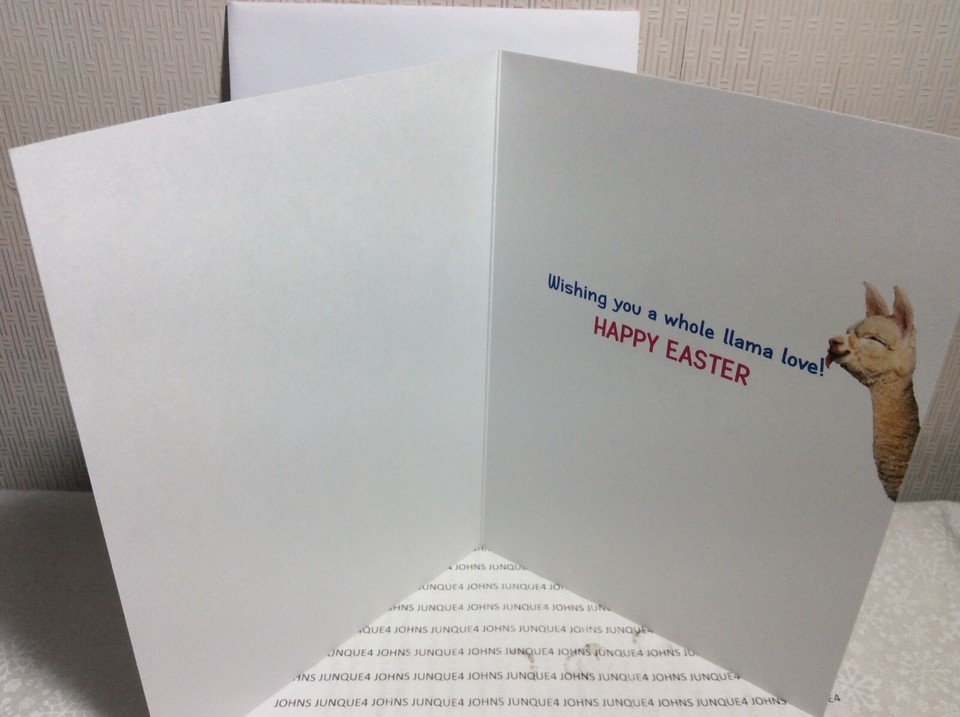 AVANTI EASTER GREETING CARD New w/Envelope LLAMA "Wishing you a whole ...
