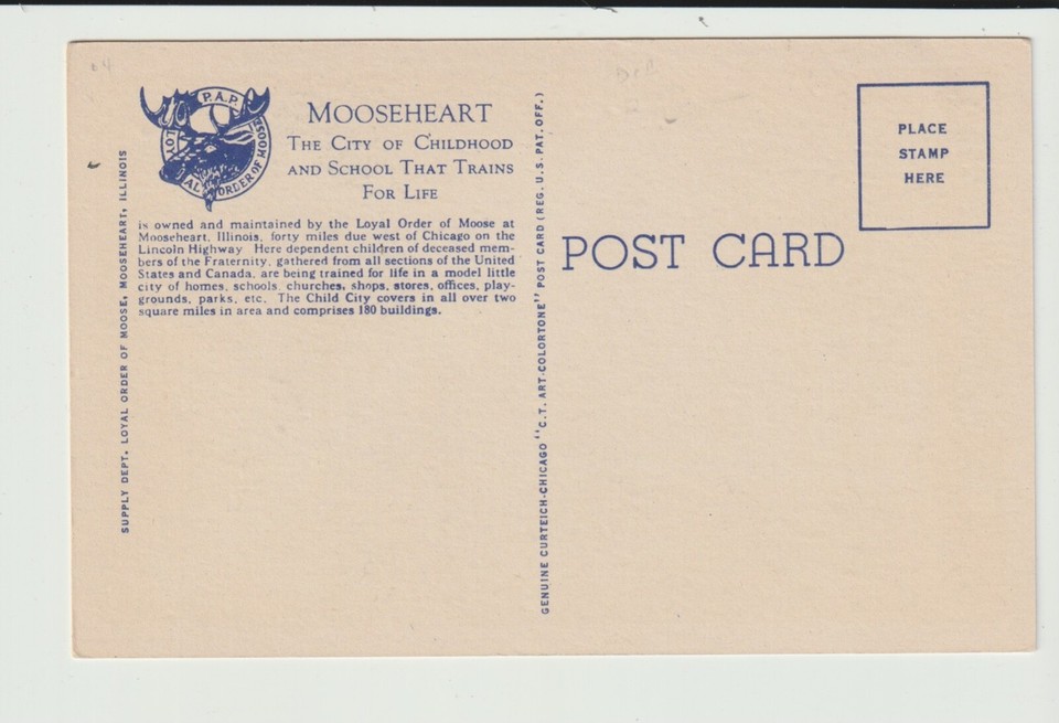 POSTCARD THE THE ROYAL ORDER OF MOOSE SCHOOL FOR LIFE MOOSEHEART ...