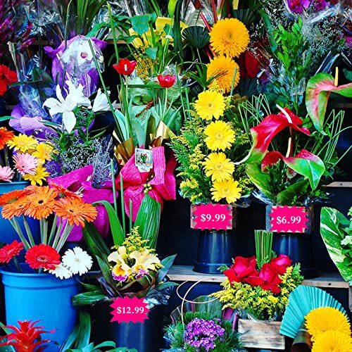 200 Pack Starburst Sale Signs Fluorescent Neon for Retail Garage ...