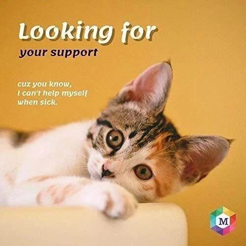 Defender Nex Pro Natural Dewormer For Cat of All Life Stages 10 Tabs ...