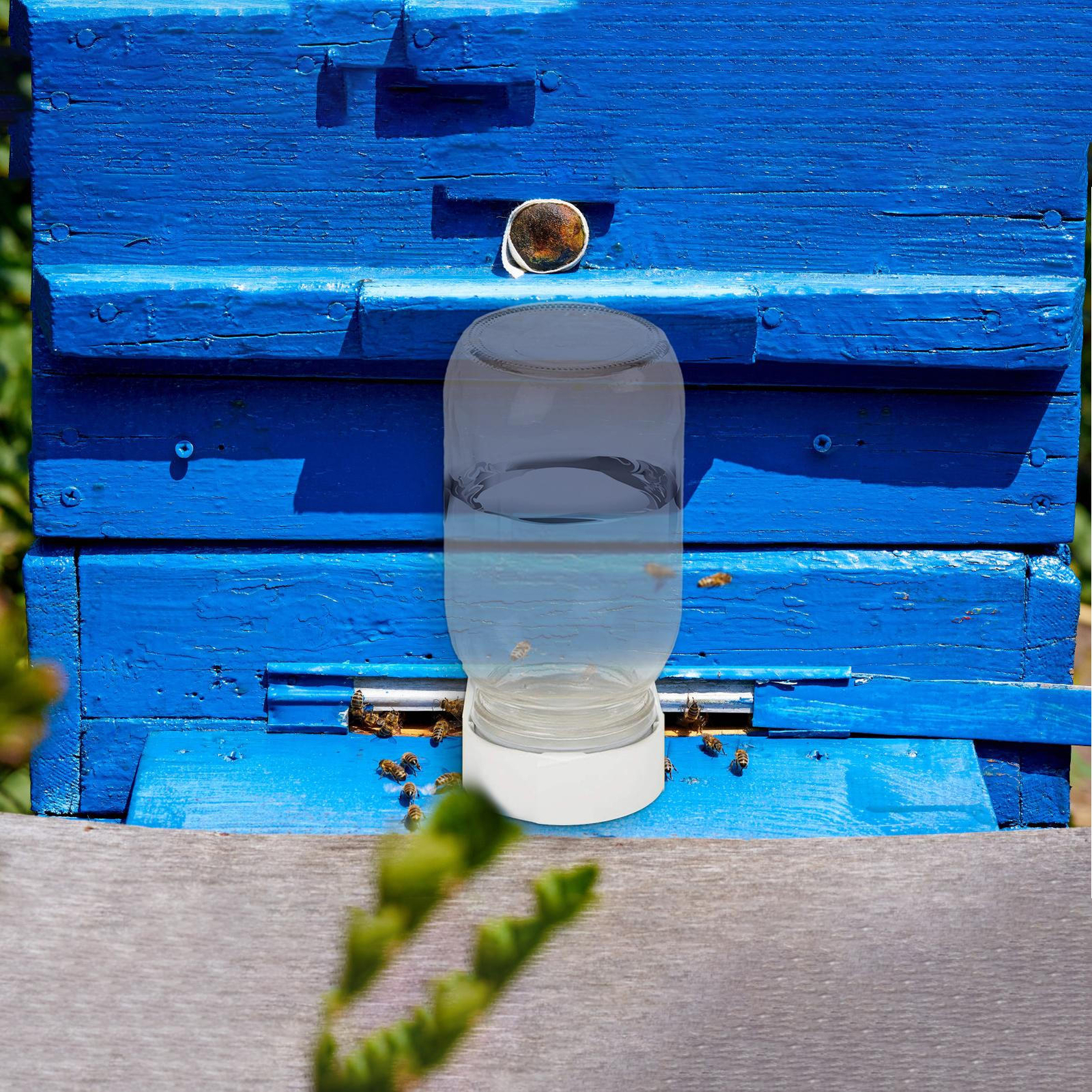 Bee Feeder Hive Top Entrance Honey Bee Feeders for Hive – Cuisine ...