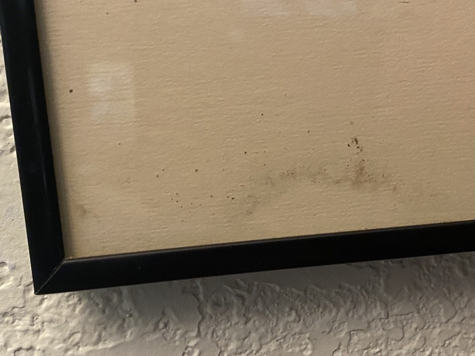 1976 Original SIGNED BOB WERLING "Thunderstorm Canada" Photograph ...