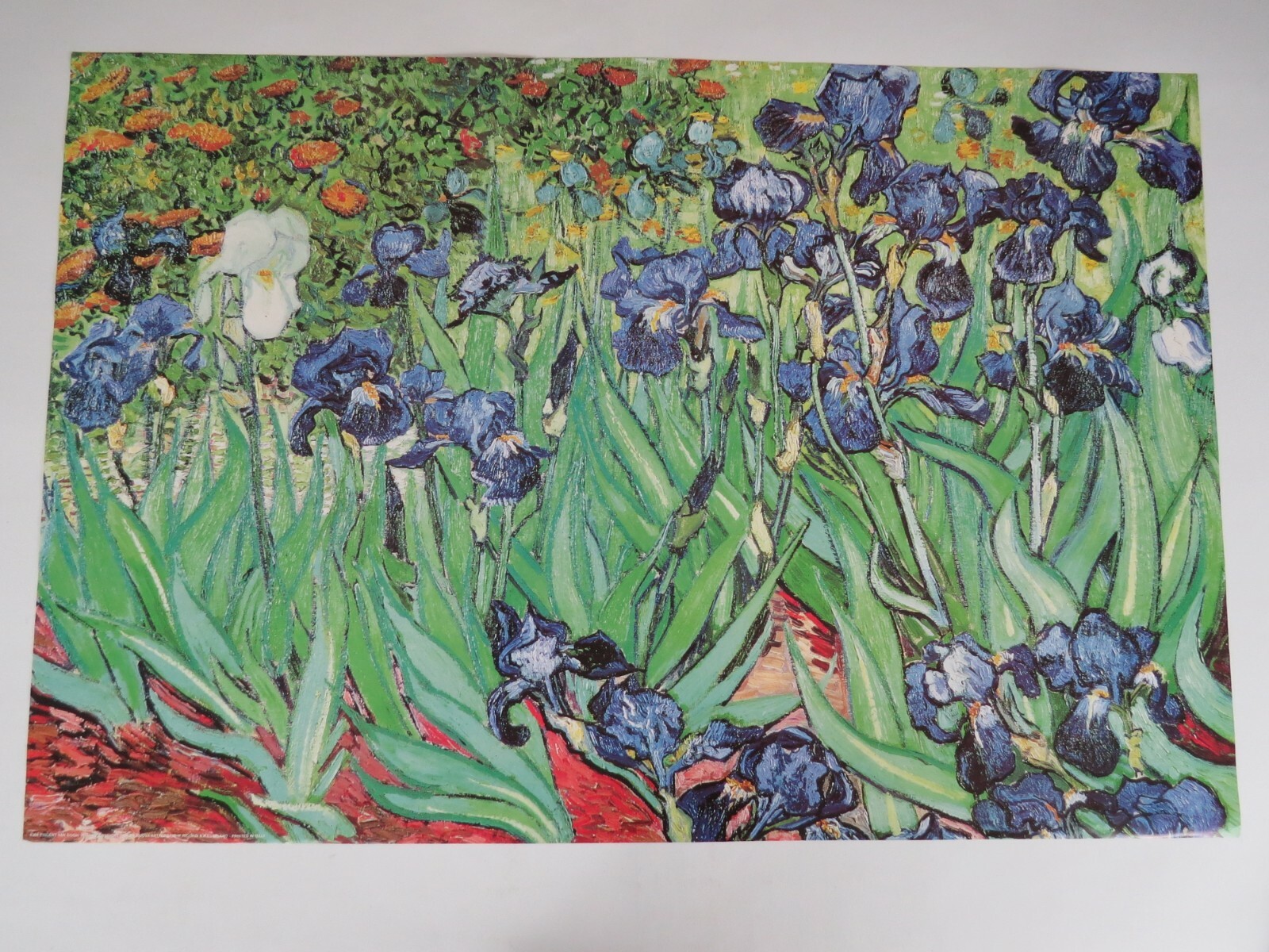 art poster print lithograph VIncent Van Gogh Irises filed garden ...
