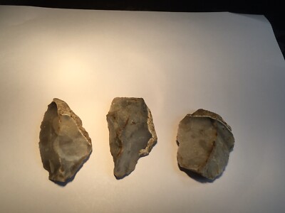 Neolithic & Paleolithic - Neolithic Flint Retouched Blade Tool