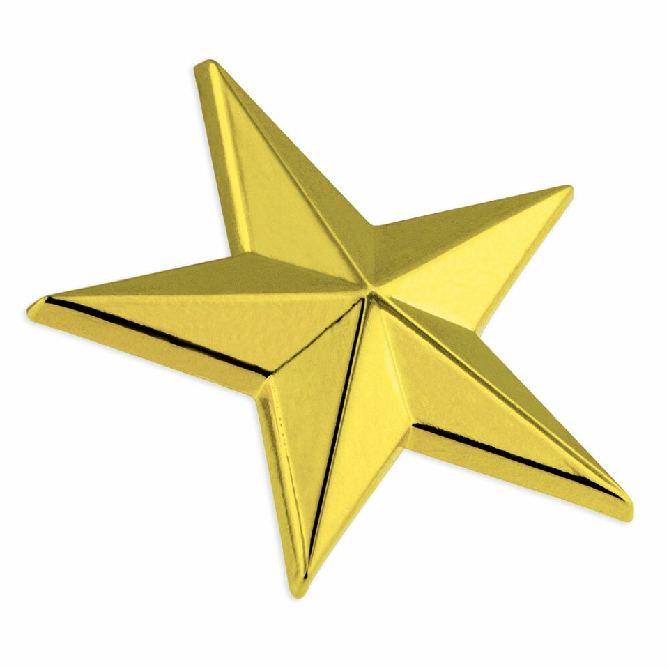 PinMart's Military 3D 5 Point Gold Star Lapel Pin | eBay