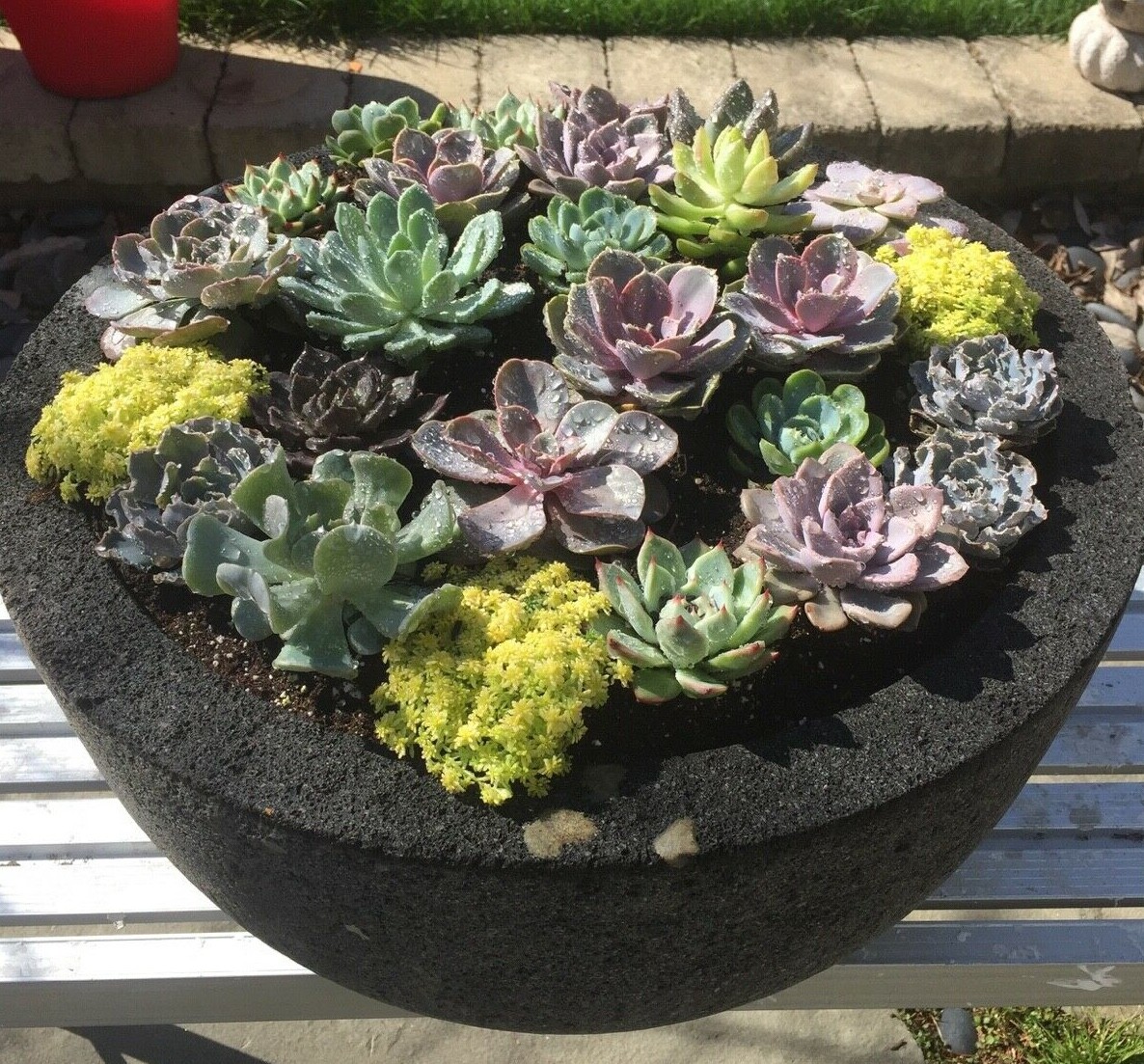 Zen Garden Pot