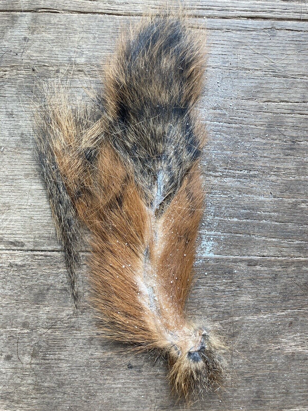 Fly Tying Hair Combo - Tails - 2 Squirrel, 1 Coon, 1 Deer + 3 Deer Hide ...