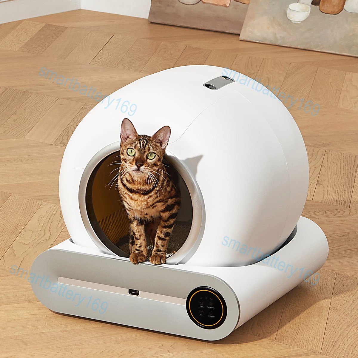 Clever Cat Litter Box