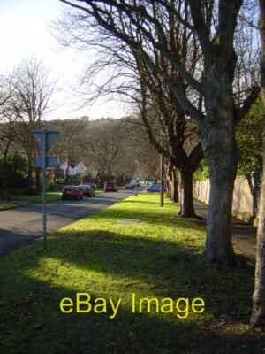 Photo 6x4 Varndean Road Brighton/TQ3106 The grass verge is carpeted ...