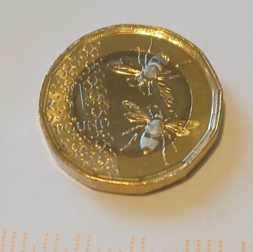 RARE LOW 170,000 MINTAGE 2025 KING CHARLES UNC BEES £1 ONE POUND COIN ...