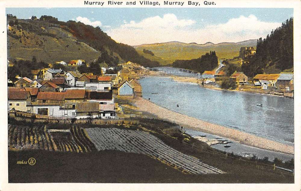 Murray Bay Quebec Canada Village Birdseye View Antique Postcard K95943 ...