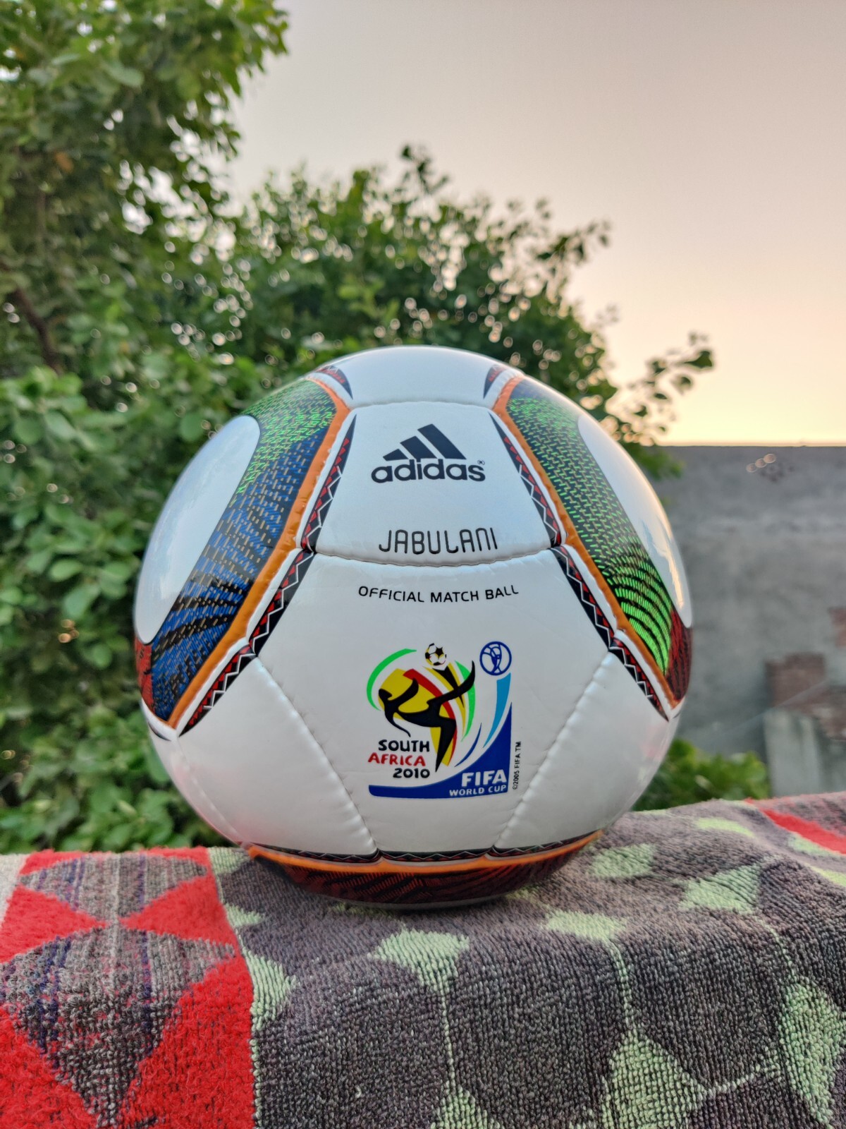 2010 Fifa World Cup Soccer Ball Blue