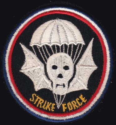 US Army 502nd Airborne Parachute Infantry Strike Force Recon Vietnam ...