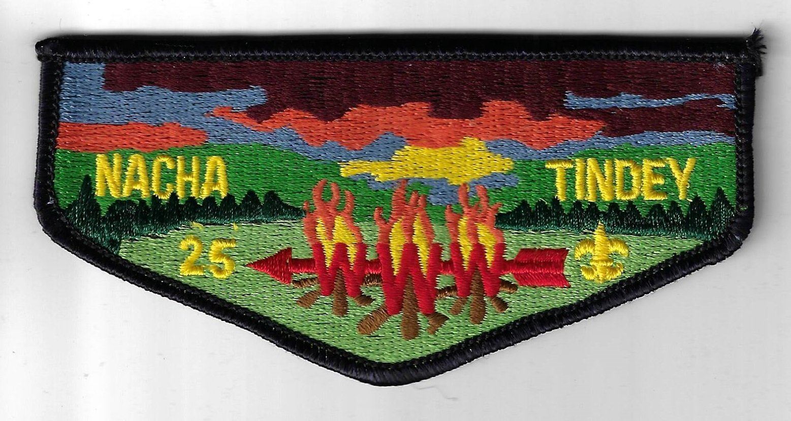 OA 25 Nacha Tindey S13 WWW Flap BLK Bdr. Gerald R. Ford MI | eBay