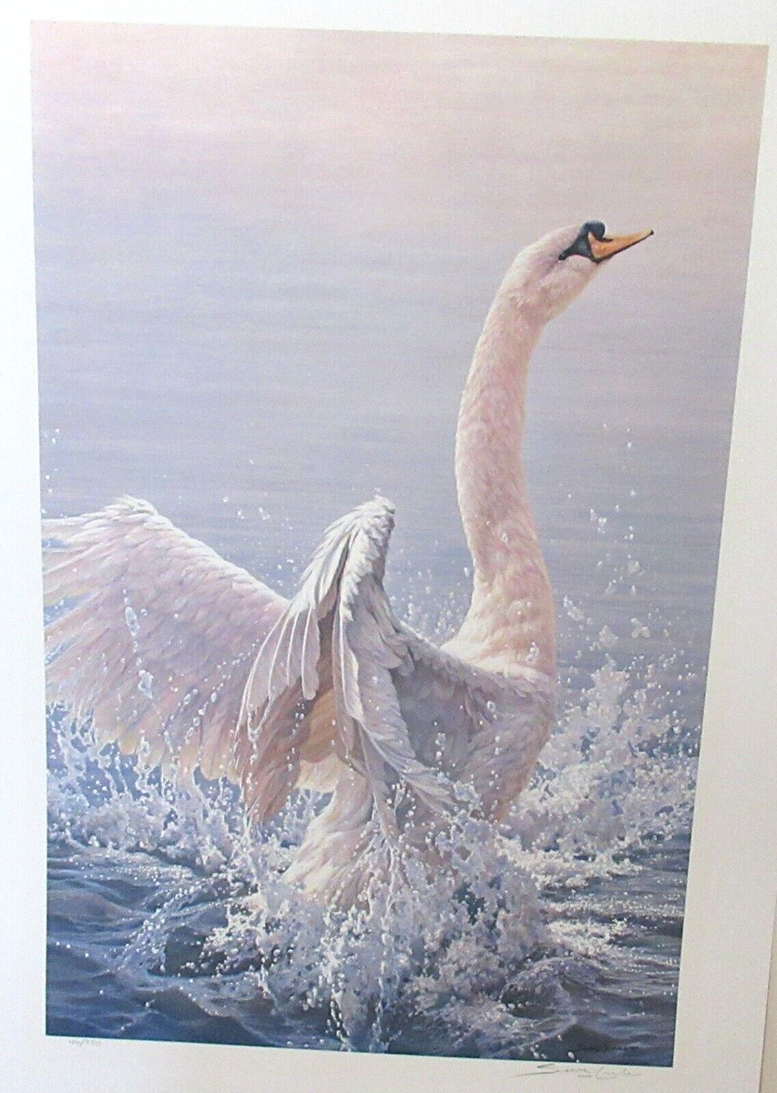 Salvador Dali Lithograph Values Swan