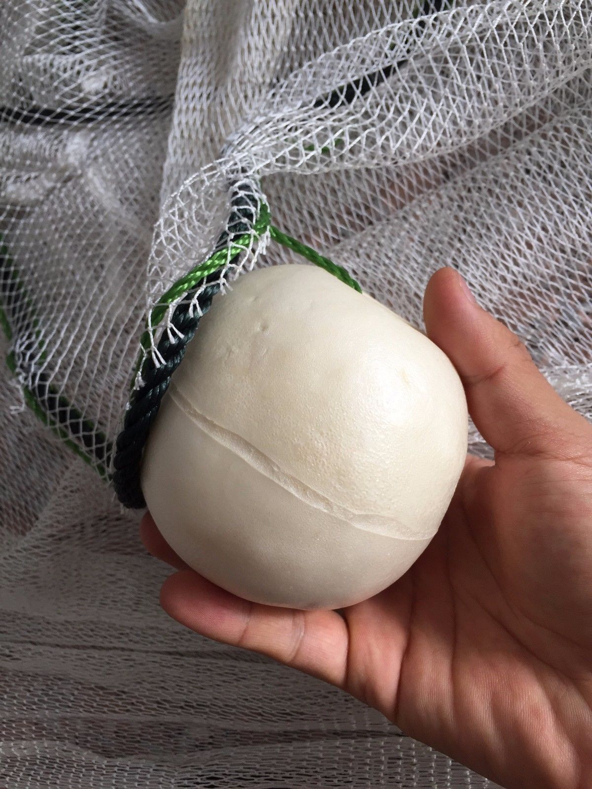 Customize Bait Seine/ Drag Nets-10x10mm or 5x5mm Meshholes Nylon ...