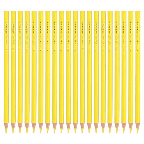 Lemon Colored Pencils Set,20 Pcs Oil Color Pencils Wooden Coloring ...