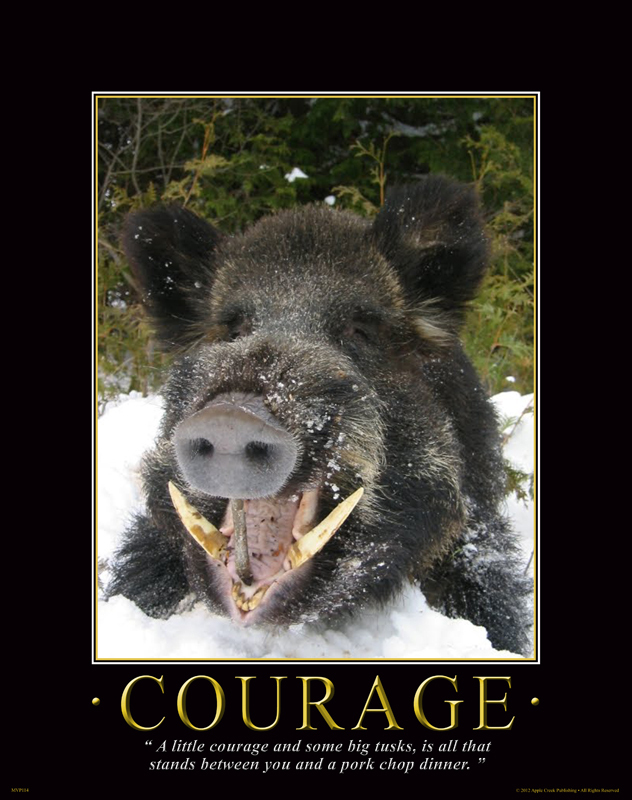 Funny Hog Hunting Quotes