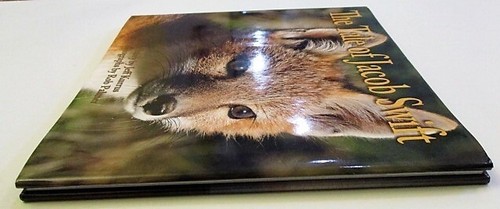 The Tale of Jacob Swift-Jeff Kurrus-HC/DJ-as new | eBay