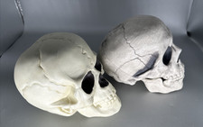 plastic halloween skulls products for sale | eBay