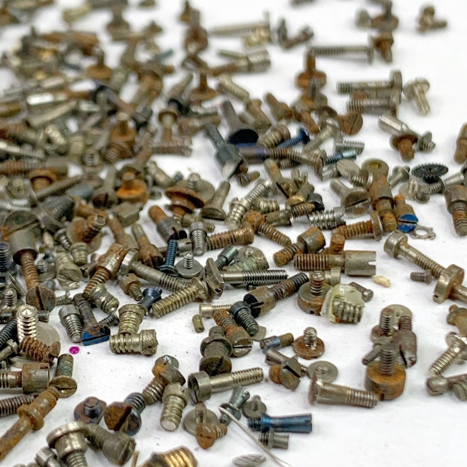 100 Watch Screws Pocket Wrist Blue Silver Part Watchmaker Repair Job ...