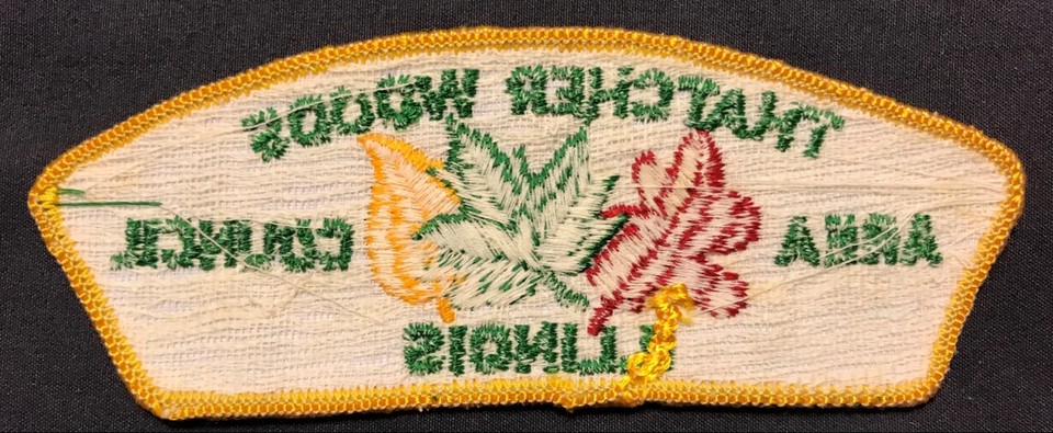 THATCHER WOODS AREA COUNCIL ILLINOIS 439 BSA RARE ISSUE CLOTH BACK CSP ...