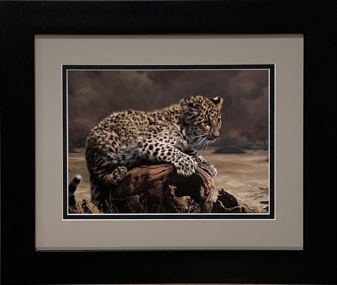 Charles Frace African Leopard Charles Frace | Charles Frace, Tiger