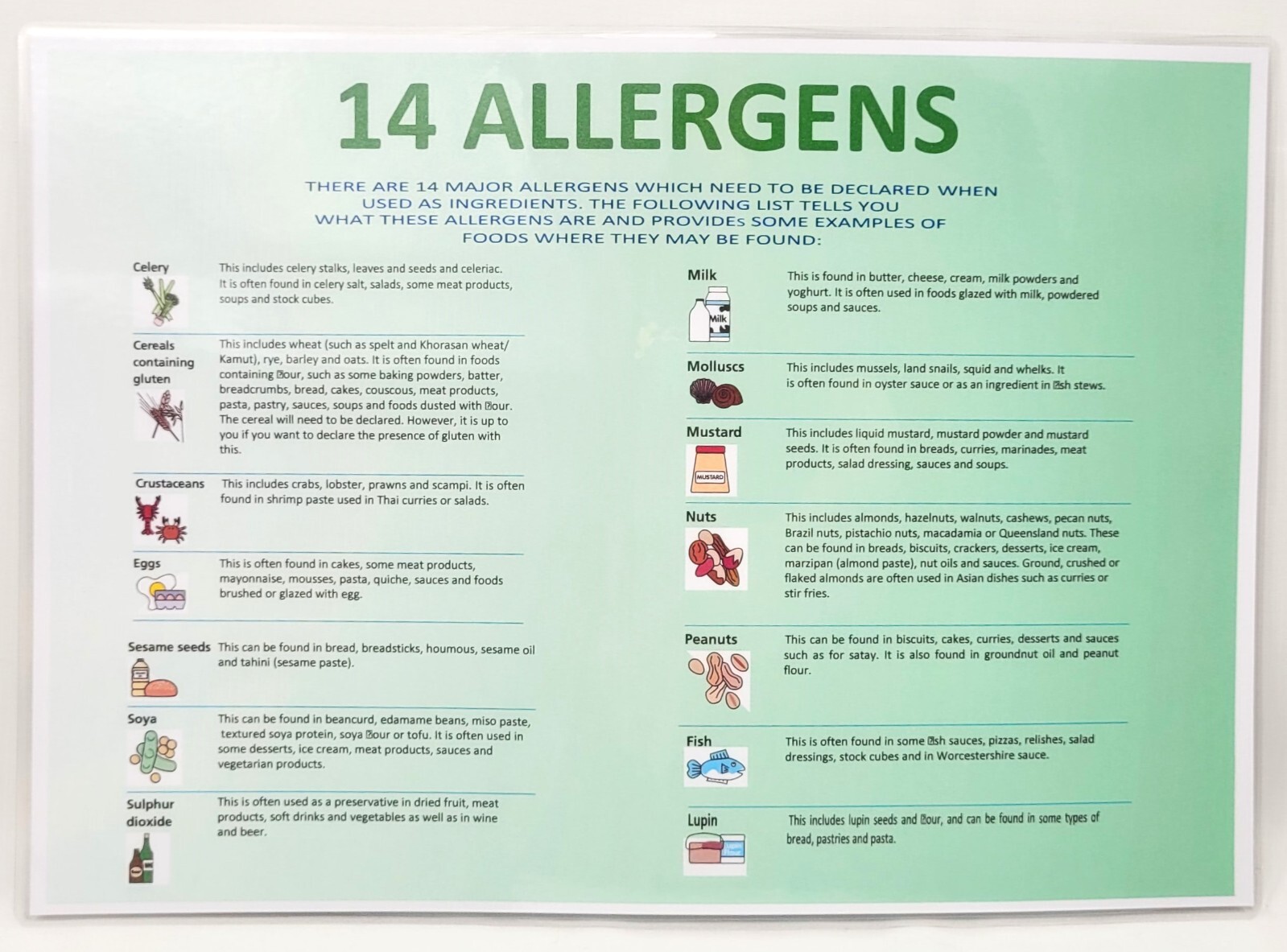 Food Allergens Awareness Safer Food Better | Grelly UK