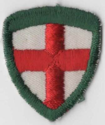 International Scout Badge GREEN Bdr. [INT422] | eBay