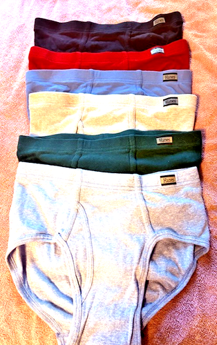 6 NEW Pairs HANES Mens COMFORT SOFT Tagless MID-RISE UNDERWEAR BRIEFS ...