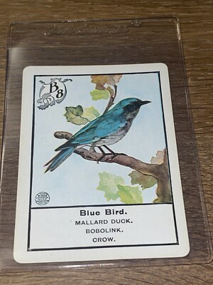 Antique 1899 Birds Card Game Blue Bird Playing Card RARE | eBay