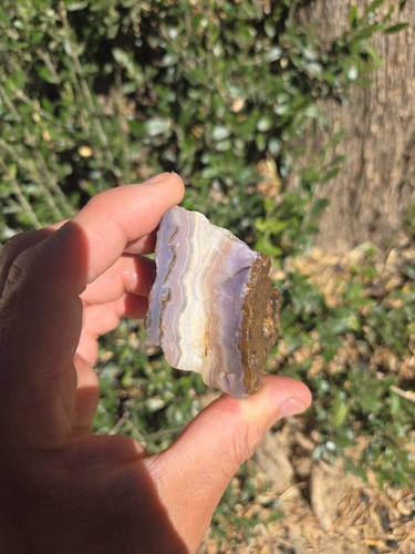 Rare Aztec Lace Agate Lot Mexico 907 grams - 2lbs Cabbing Collection ...