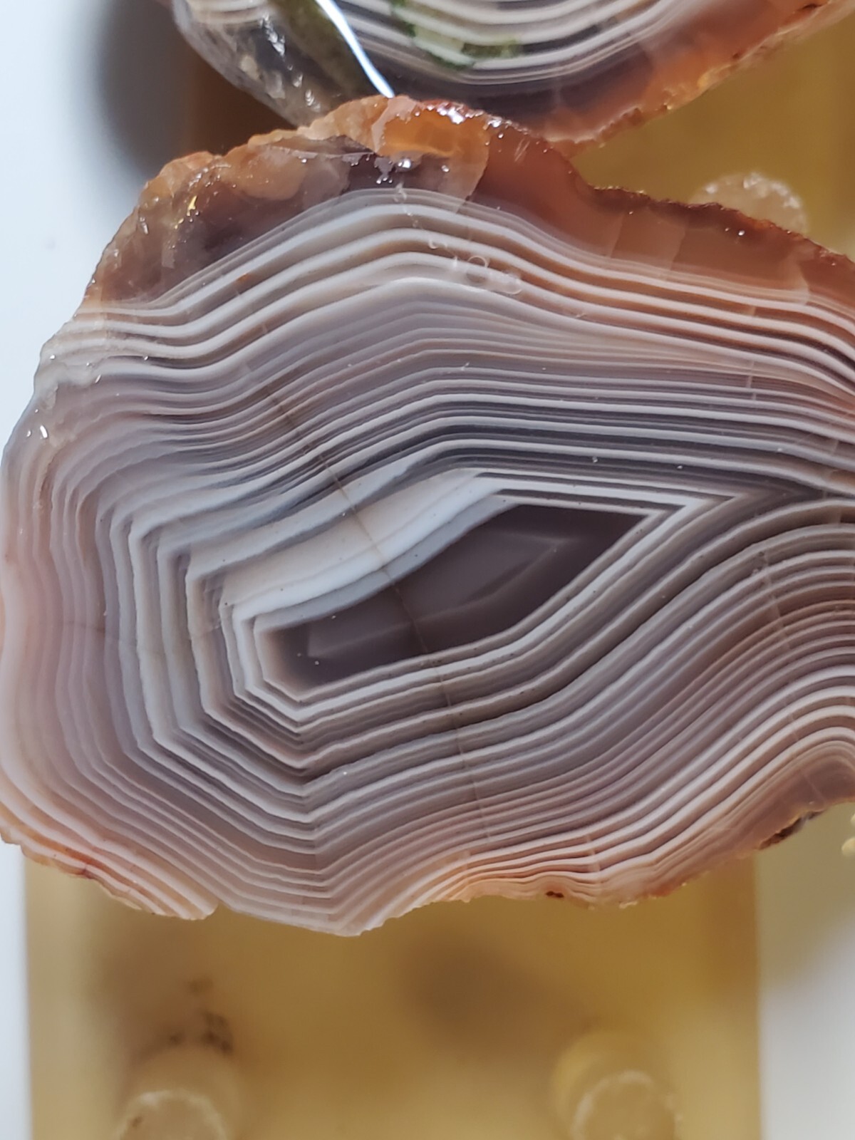 2 Lake Superior Banded Fortification Agate Lapidary 156g Minnesota ...