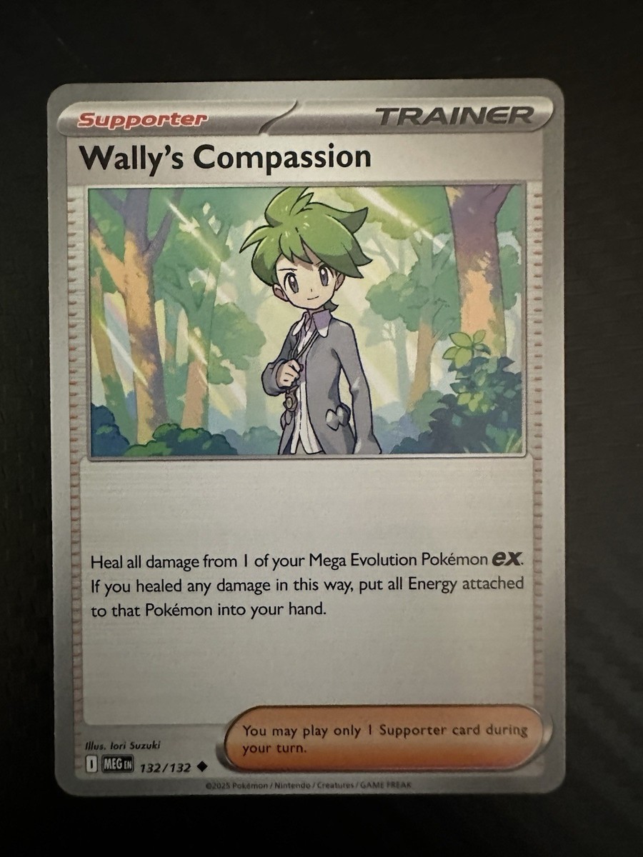 Wally Pokemon Trainer