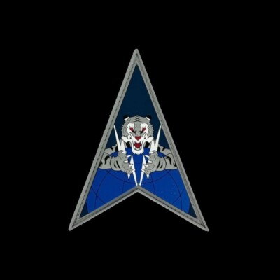 U.S. SPACE FORCE PVC HAT PATCH CAP SPACE DELTA 5 HOOK & LOOP WOW | eBay