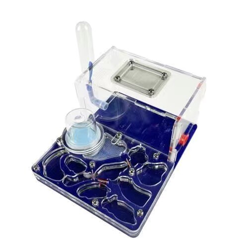 DIY Acryl Mini 3D Ant Farm Ant Nest with Feeding Area Ants House Insect ...