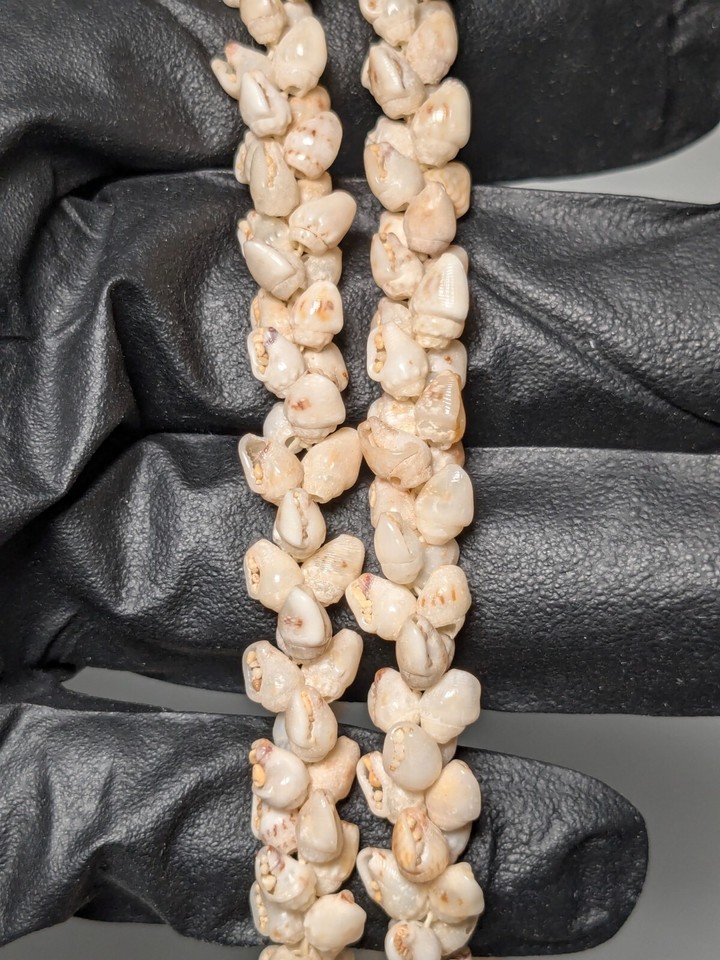 Vintage Ni'ihau Shell Lei Pikake Necklace Long 2 Strand momi shells | eBay