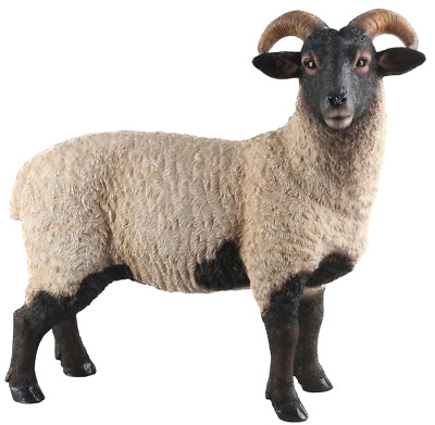 Norfolk Sheep Ornament Garden Resin Statue Home Decor Figurine Large ...