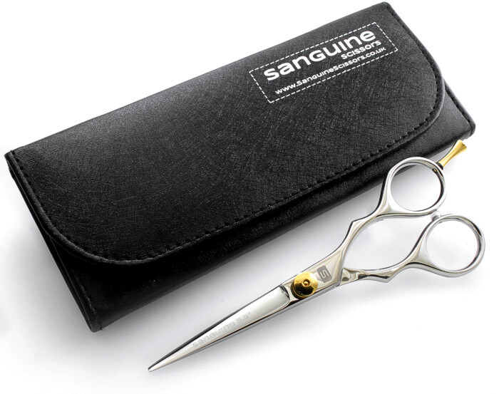 Hairdressing Scissors Barber Shears Salon Hair Cutting Trimming Bang ...