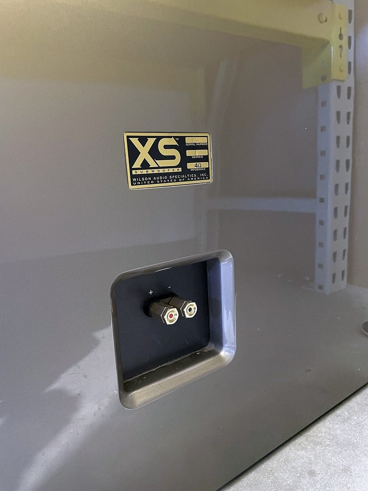 Wilson Audio XS Sub-Woofer - Emotional Bass for the Soul | eBay
