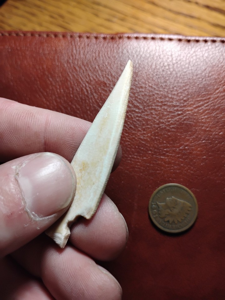 Authentic Fur Trade Freshwater Shell Arrowhead Mississippi River MN 2 3 ...
