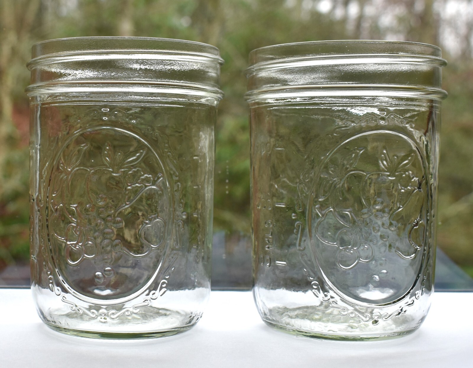 Vintage Ball Mason Jar Sculpted Fruit Design Wide Mouth Pint Set of 2 ...