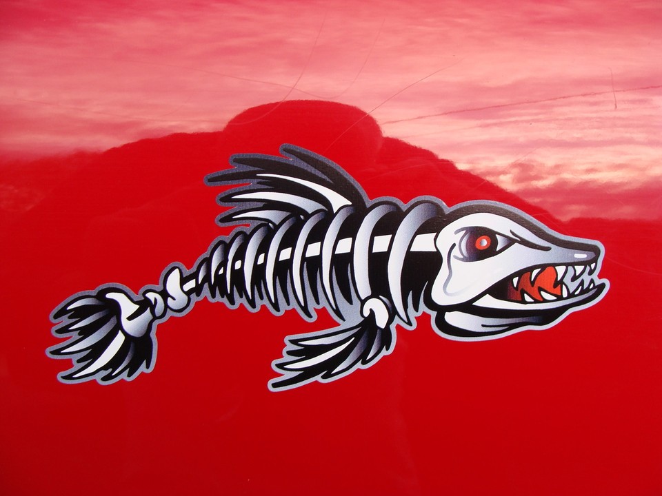 2 - 3" x 7" Fish Skeleton Decals Sticker Boat Musky Pike Ice Fishing ...