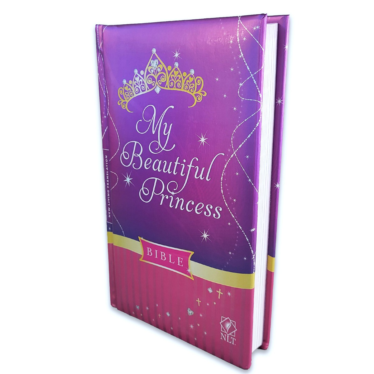 Biblical Princess How To Be A Bible Princess (Paperback) By