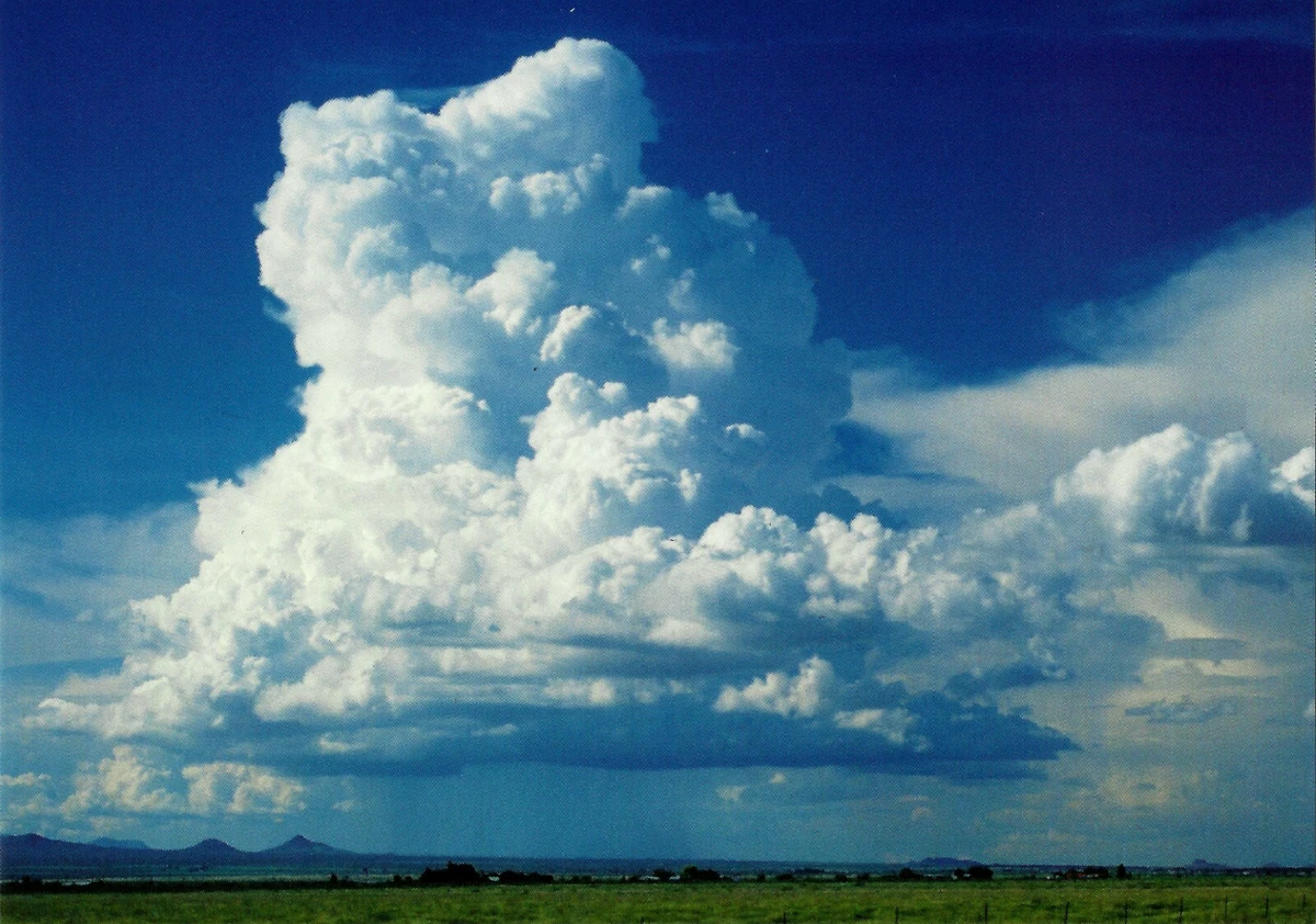 Cumulus Congestus Clouds
