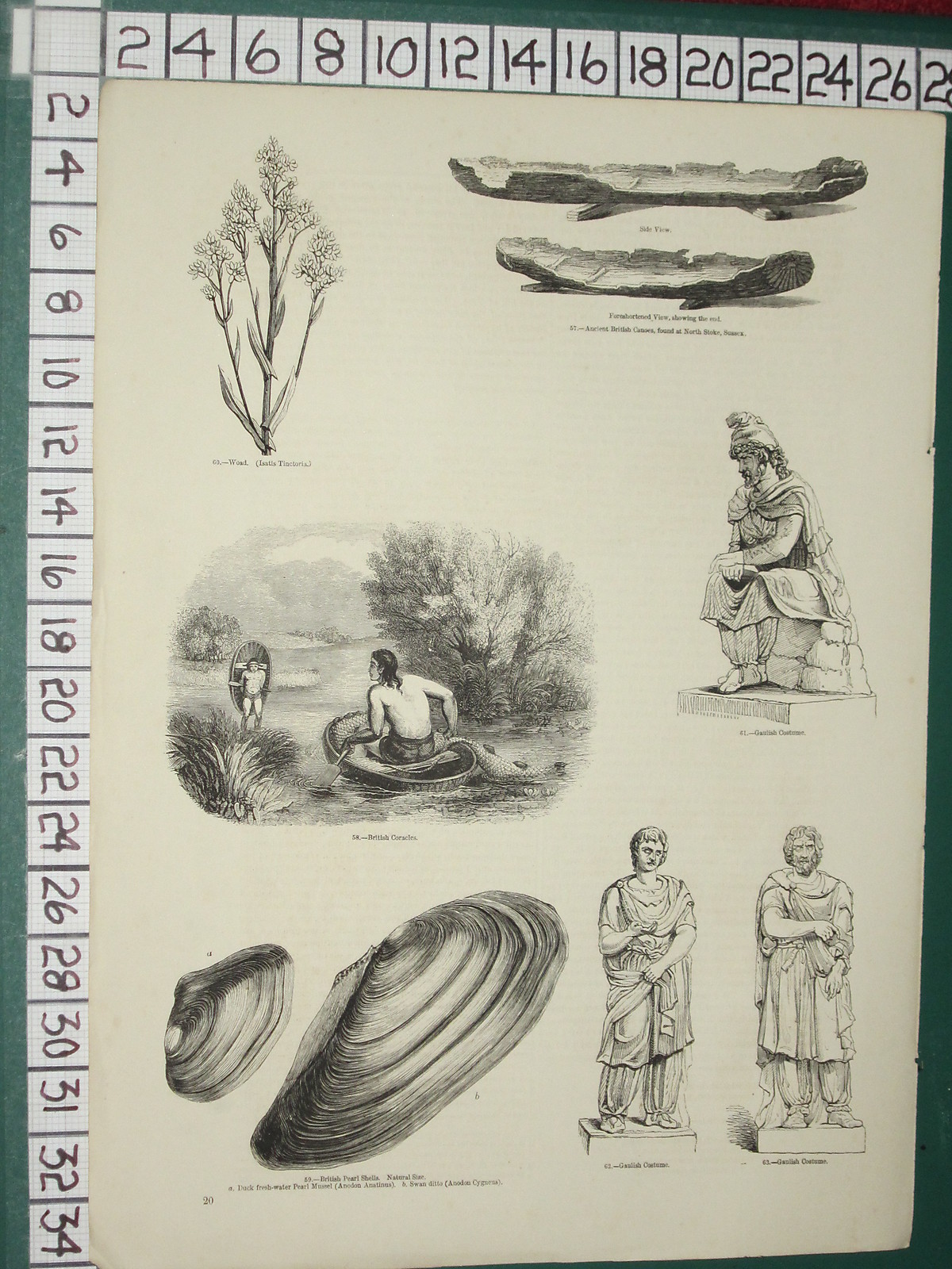 1845 Imprimé ~ Woad Ancien Britannique Canoes Gaulish Tenue Perle ...